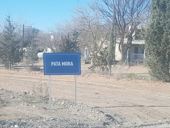 Mendoza lanza licitación internacional para elaborar los proyectos ...